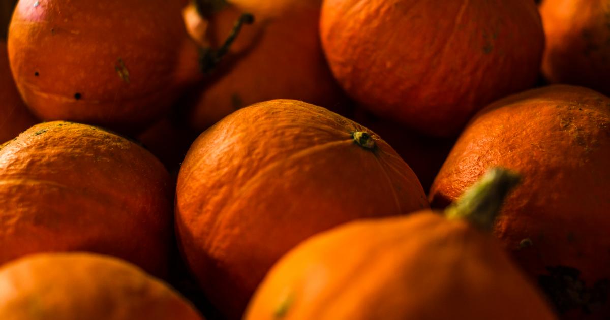 La courge potimarron | Légumes maraîchers Prince de Bretagne