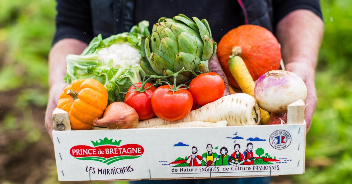 La courge butternut | Légumes maraîchers Prince de Bretagne