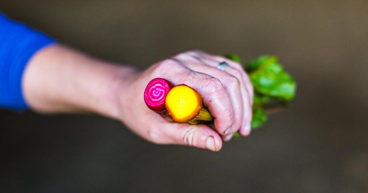 Les mini betteraves de couleur | Mini légumes Prince de Bretagne