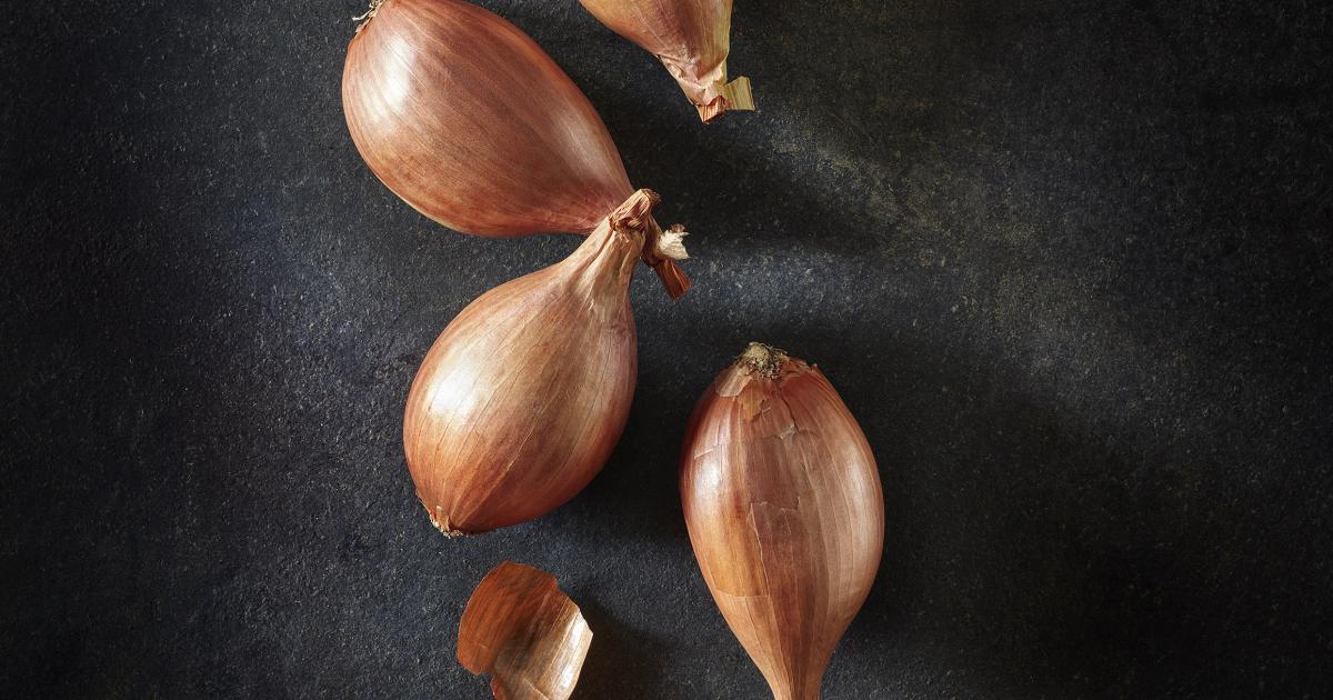 L'échalote traditionnelle, la vraie échalote | Actualité Prince de Bretagne